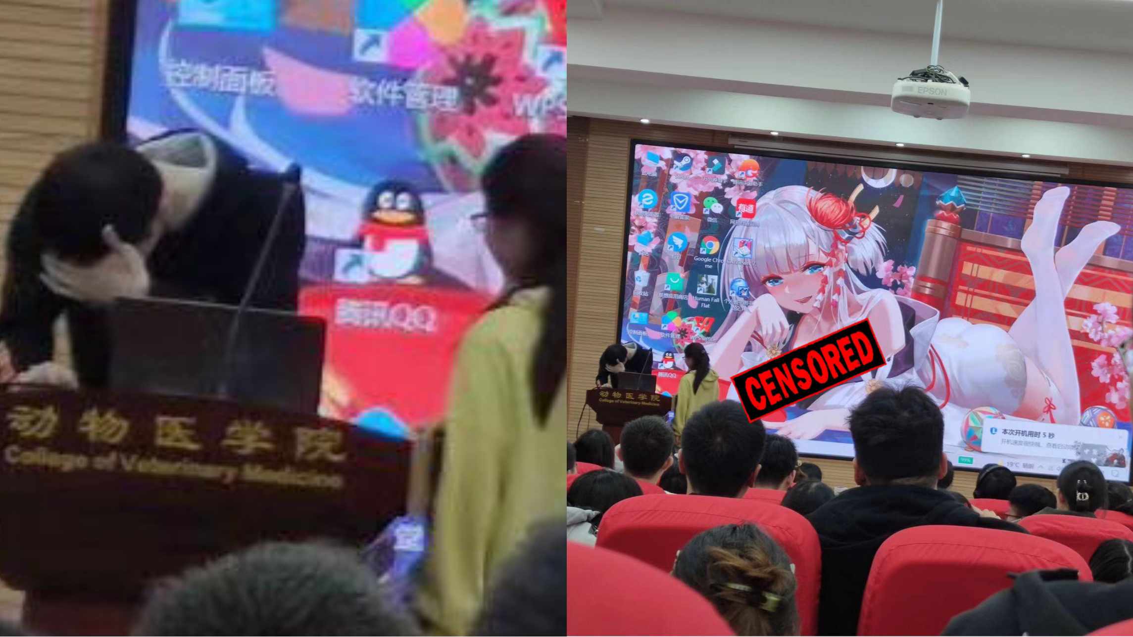 Boy Forgot To Remove Anime Wallpaper During A Class Presentation