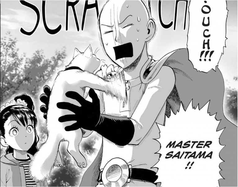 One Punch Man: Did Saitama Took Some Damage Against Garou? - Anime Senpai